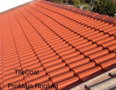 Tile Roof Painting in Auckland | ProMain Roofing